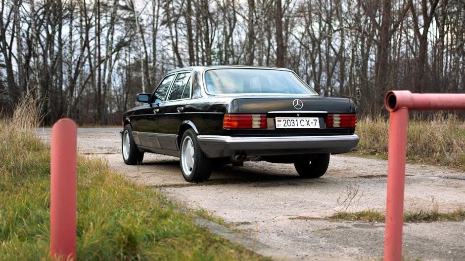 Baxi Bermuda Back Boiler Manual | Installation & Maintenance Guide